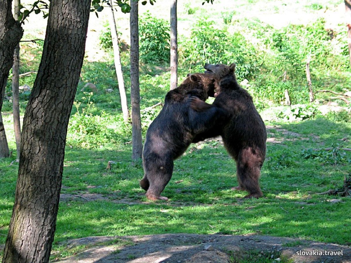 Zoologischer Garten Košice - Slovakia.travel